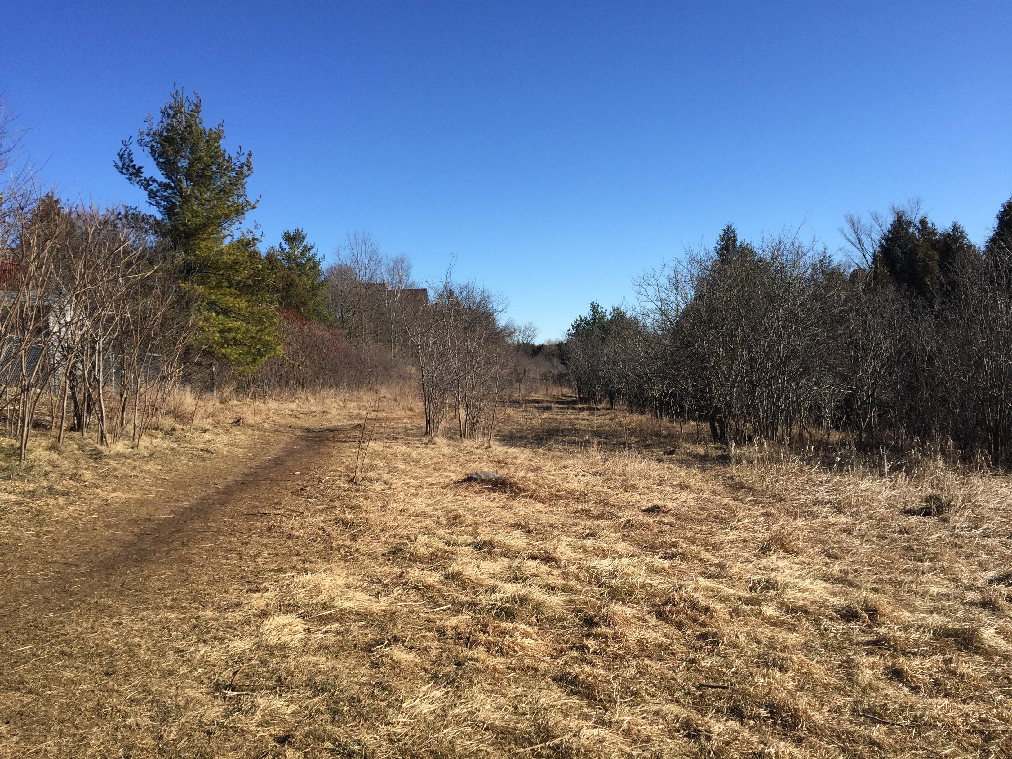 Crane Park revitalization - City of Guelph