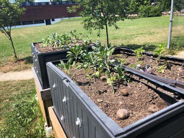 Guelph Collegiate Vocational Institute Community Garden - City of Guelph