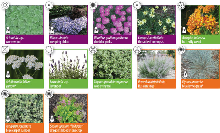 Boulevard gardens - City of Guelph